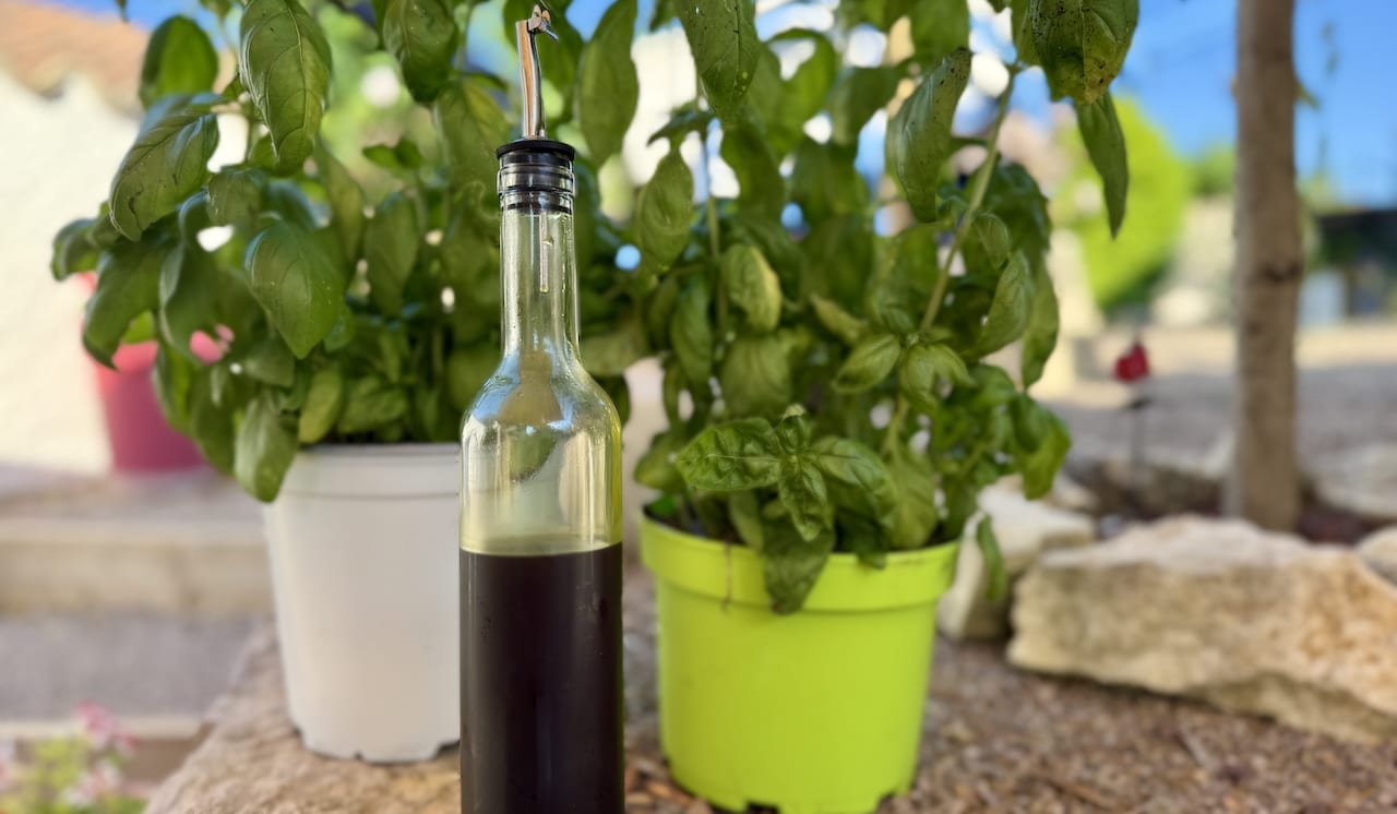 Basil Oil - Bruno Albouze recipes