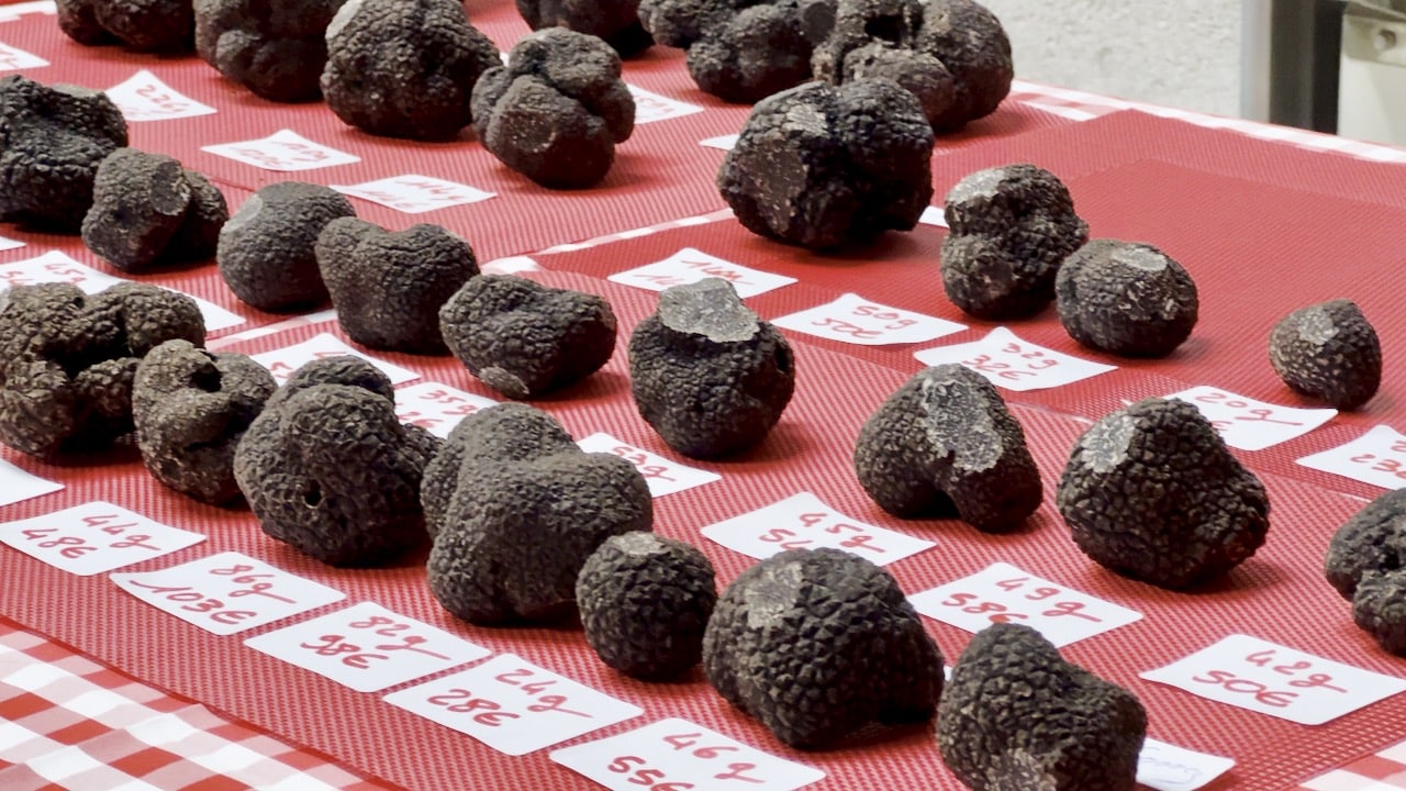 Truffle Oil - Bruno Albouze recipes