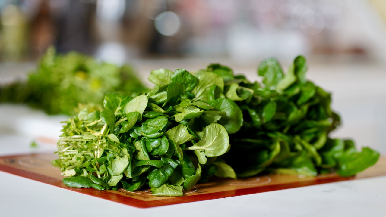Watercress Velouté - Bruno Albouze recipes