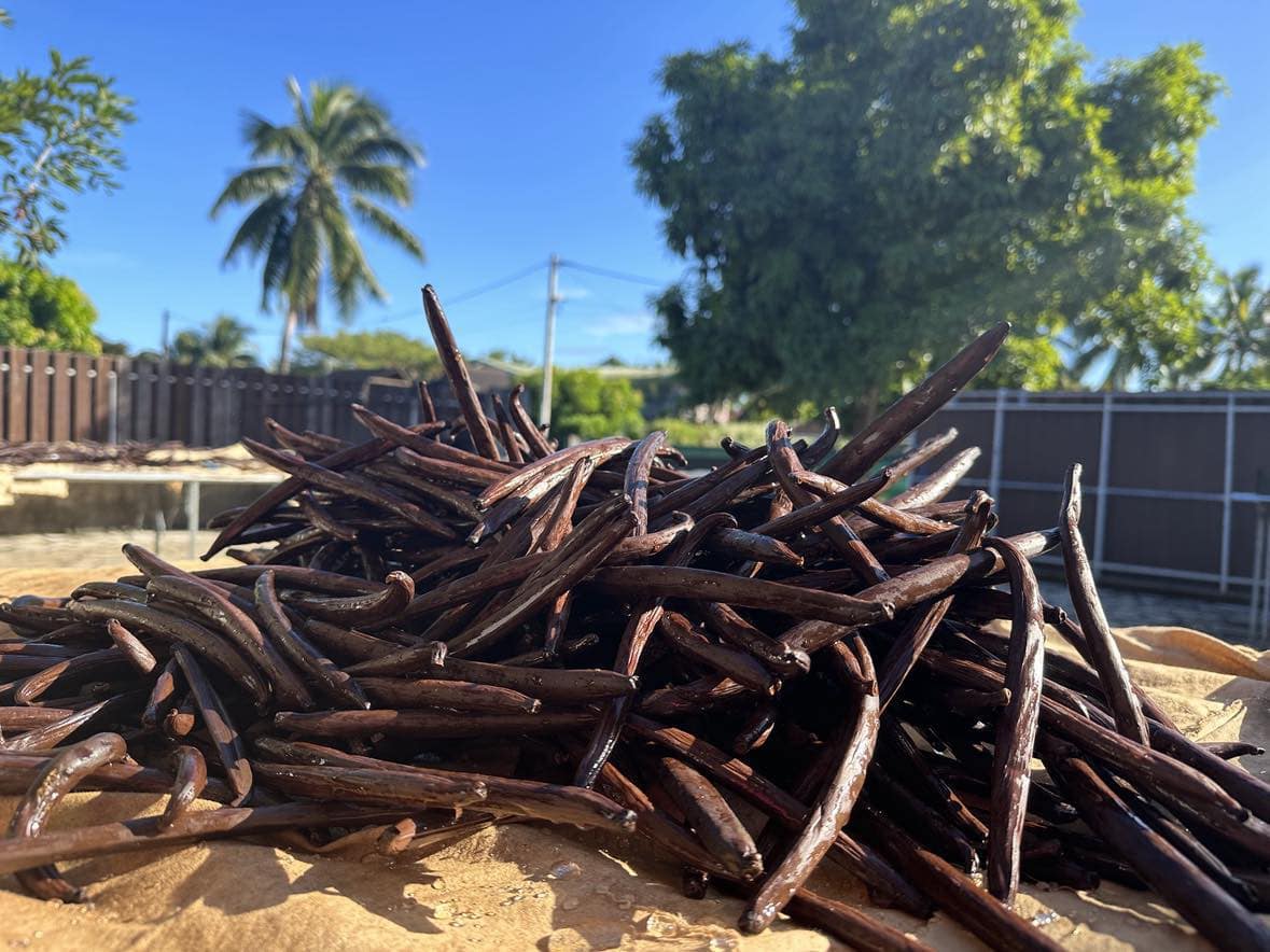 Vanilla, a precious and misunderstood spice - Bruno Albouze recipes